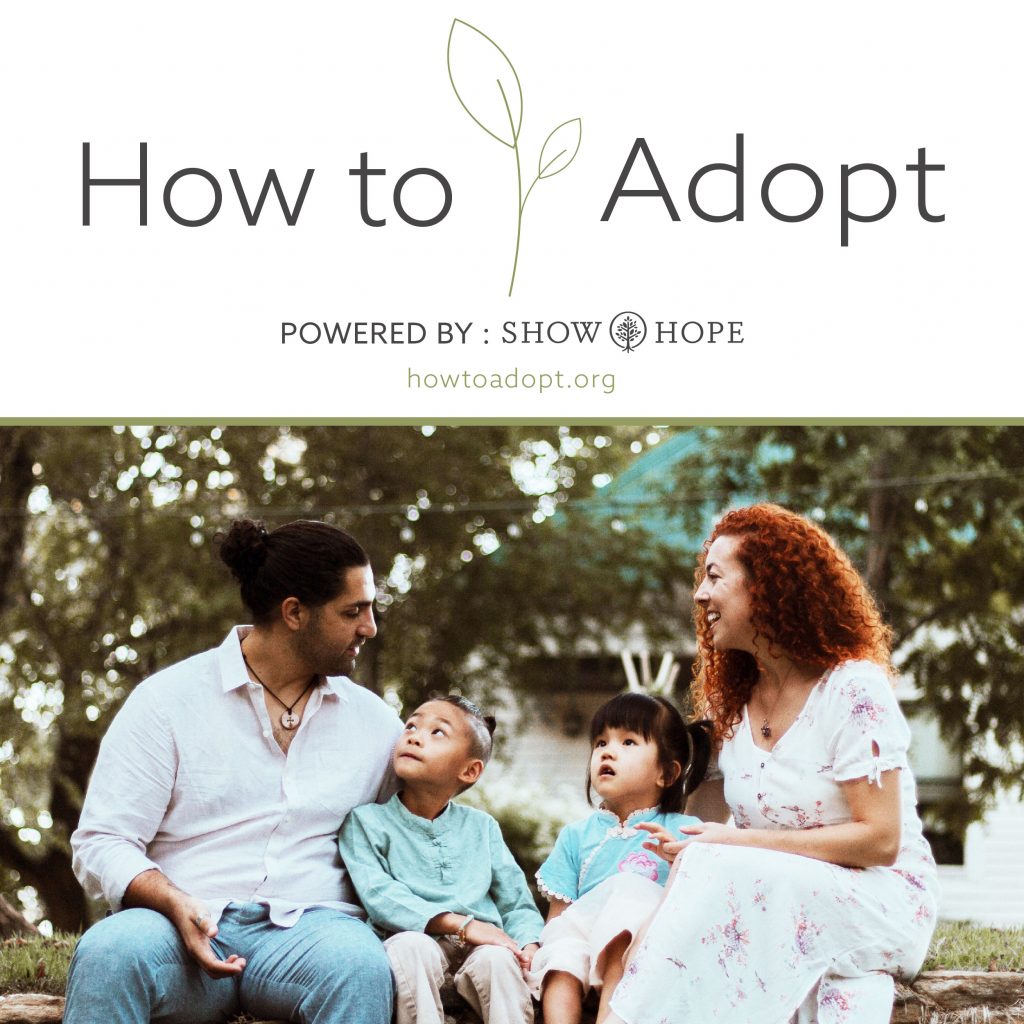 Pre and Post Adoption Support and Resources — Show Hope
