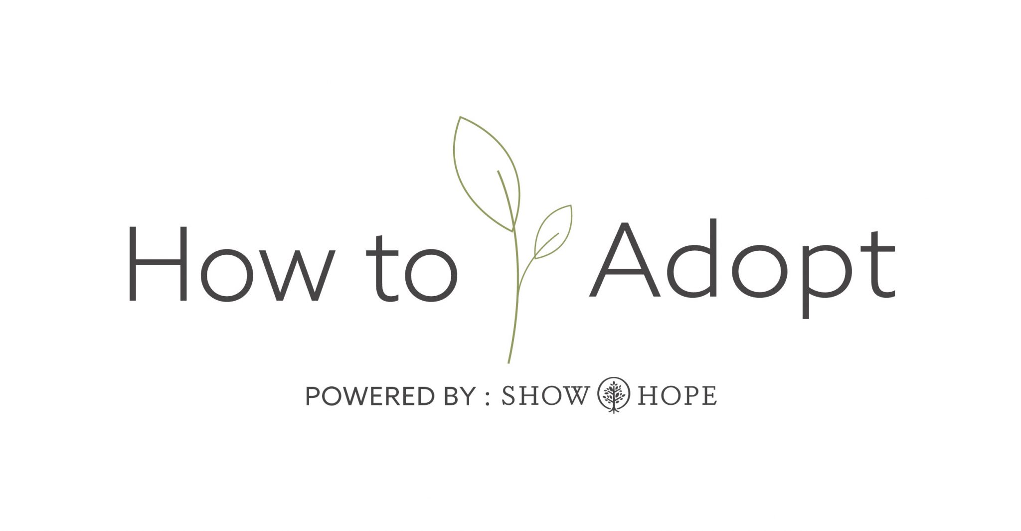 How to Adopt — Show Hope