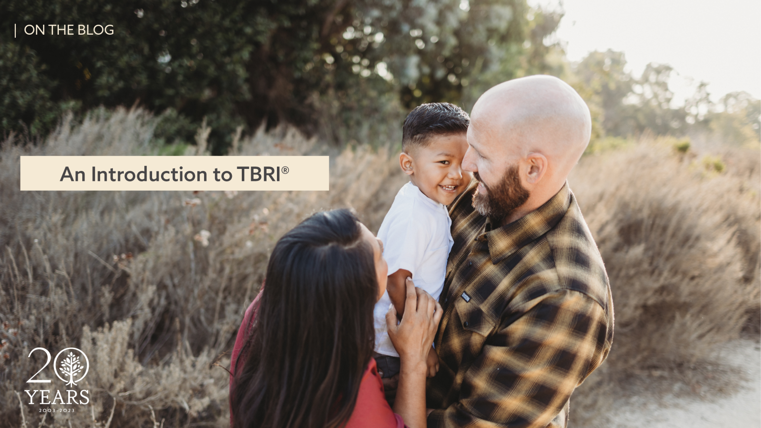 An Introduction to Trust-Based Relational Intervention® — Show Hope