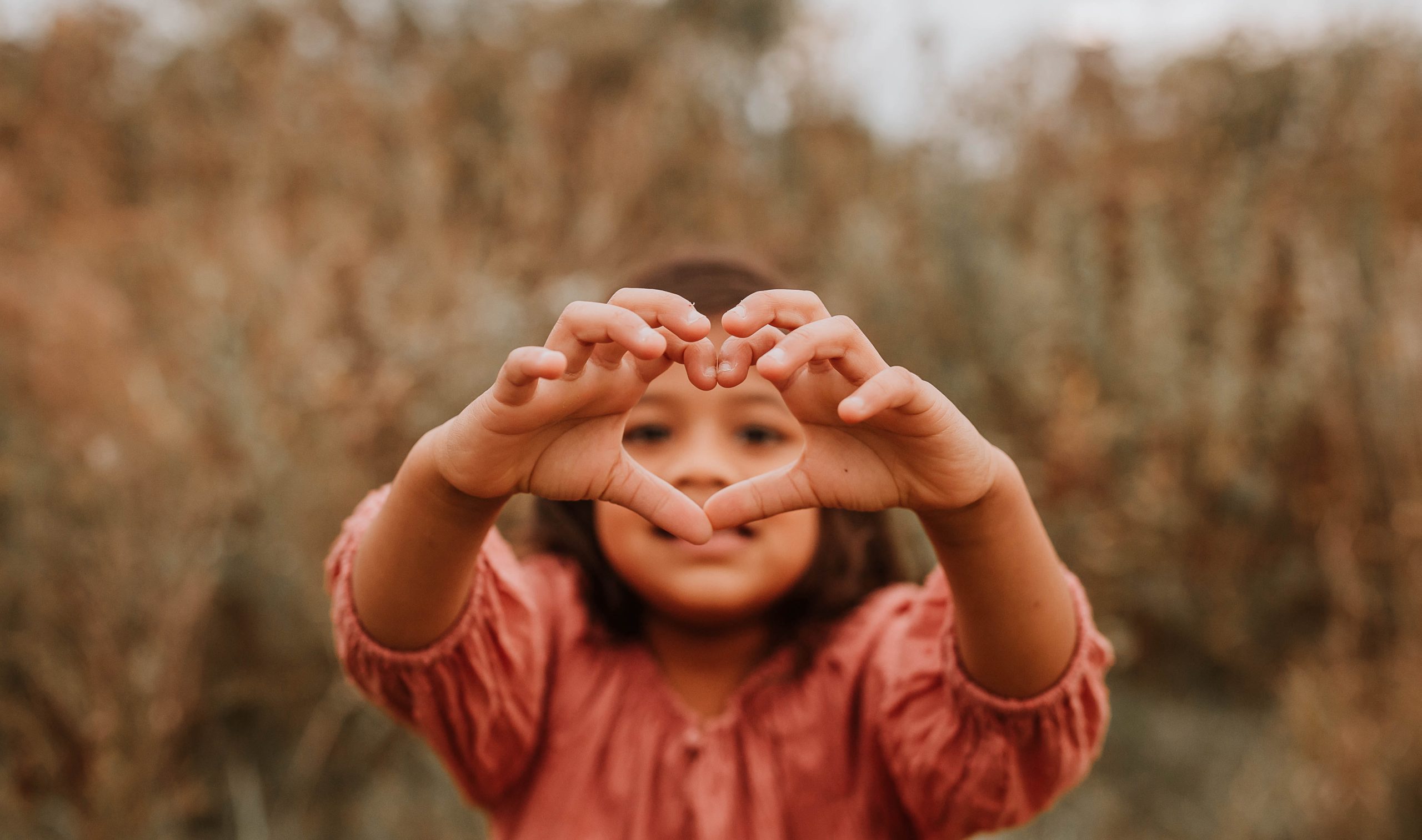 More Ways To Give — Show Hope